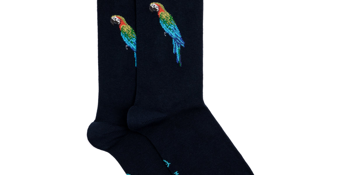 The Parrot - Men's Socks - Navy Cotton - Maison Broussaud